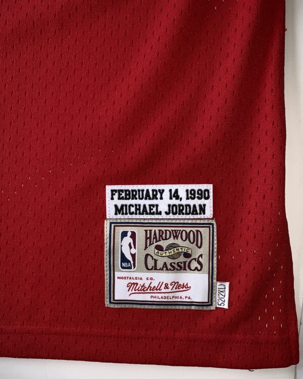 Michael Jordan Autographed Red Bulls Number 12 Jersey UDA COA. - The ...